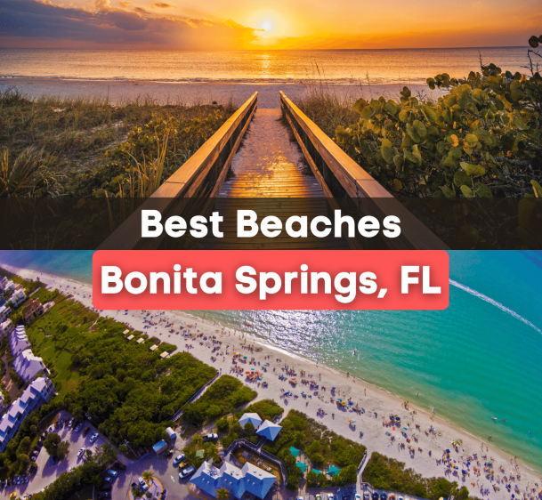 Real Estate Blog - Living In