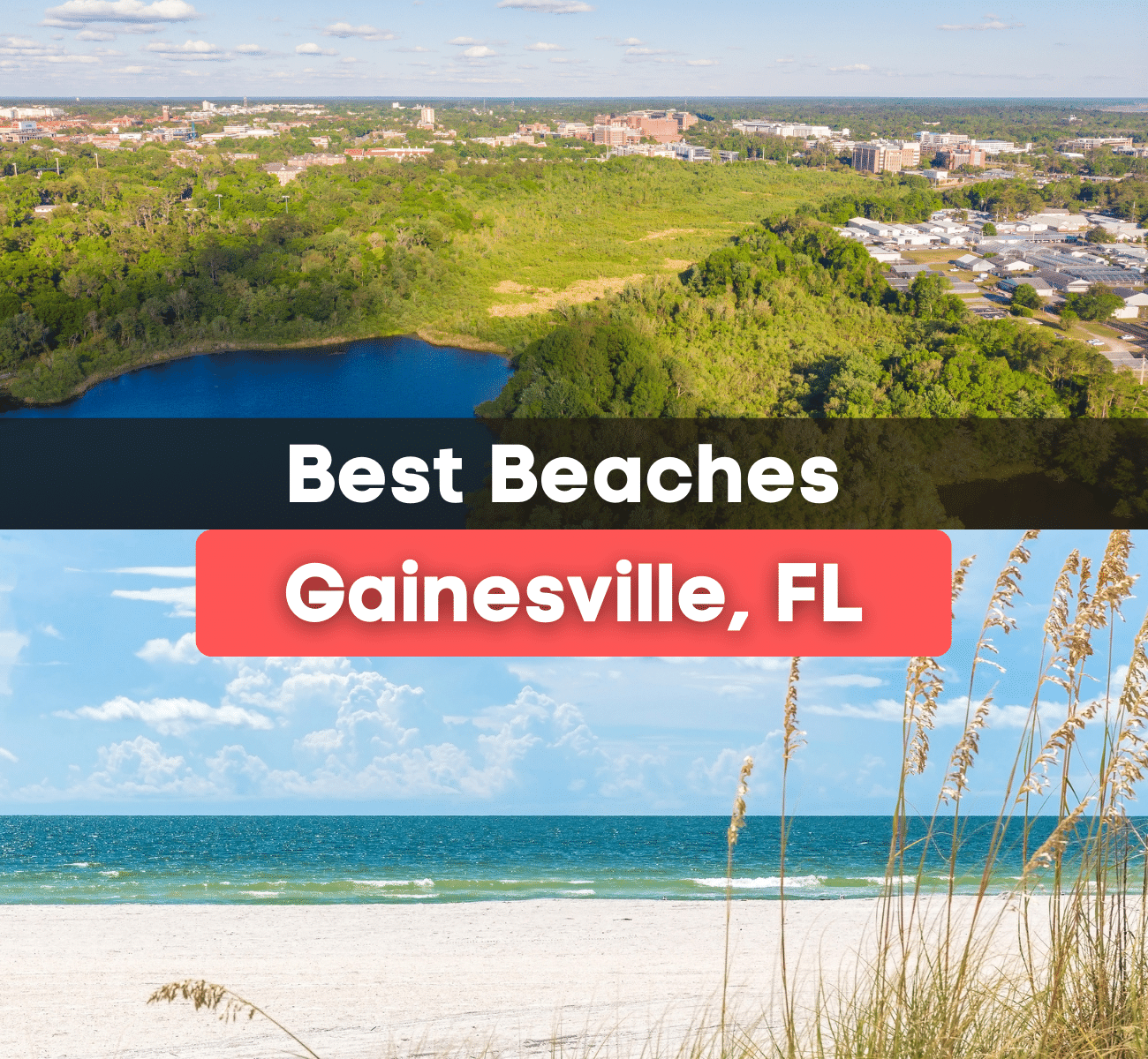 7 Best Beaches Near Gainesville FL 7 Best Beaches Near Gainesville FL